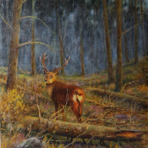 Untamed Spirit - Robert Harcus - Artist