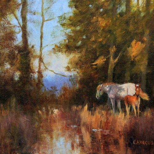 A Moment In Time - Robert Harcus - Artist