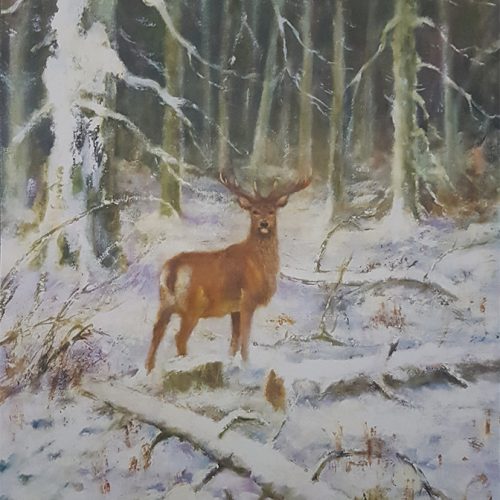 Untamed Spirit - Robert Harcus - Artist