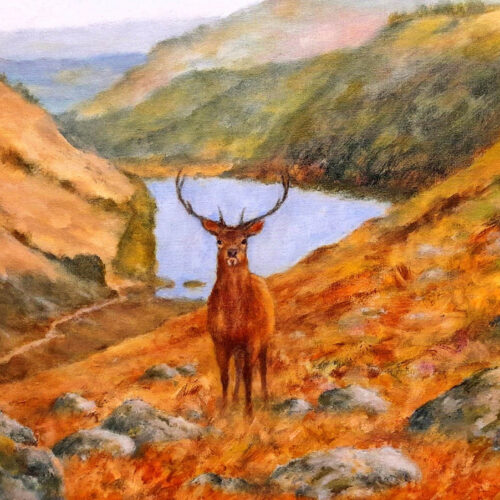 Untamed Spirit - Robert Harcus - Artist